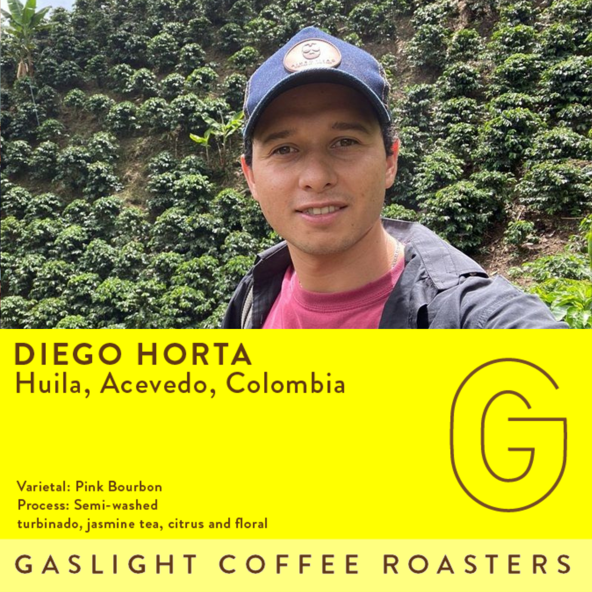 Diego Horta | Colombia – Gaslight Coffee Roasters